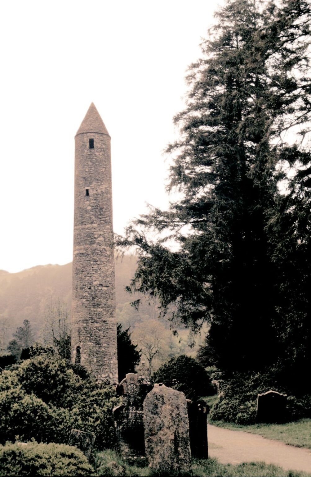 Irish Cultural Symbols: Colorful Emblems of Ireland's Rich Heritage ...